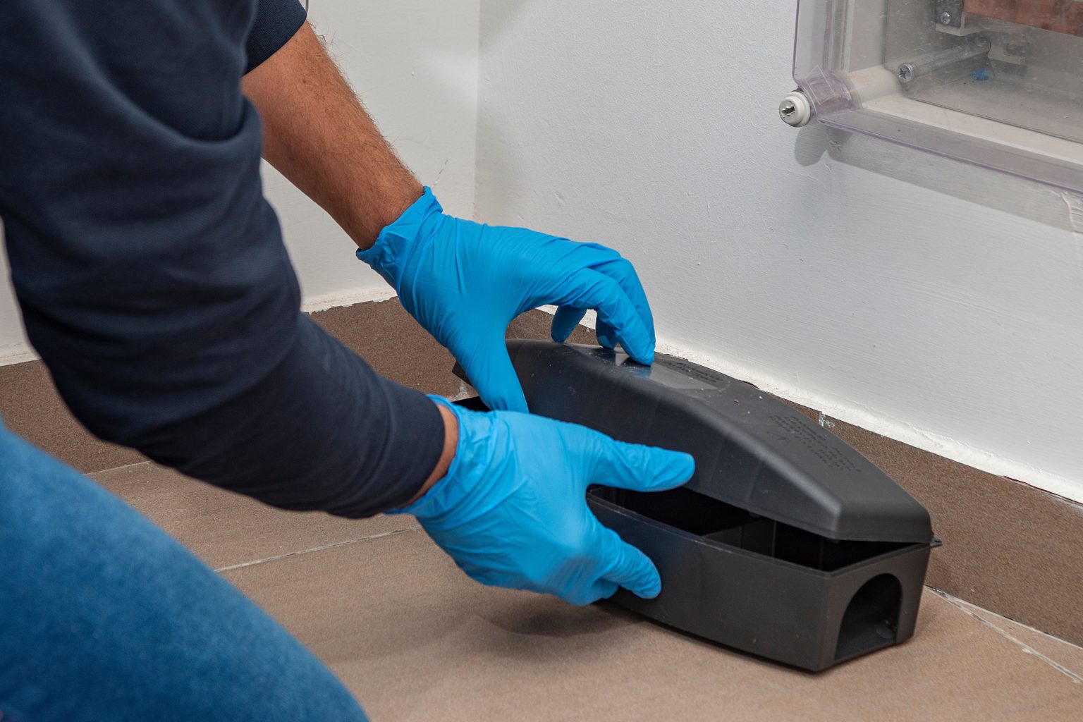 How Does Pest Control Work and Why is it Important? - Furbegone Pest ...